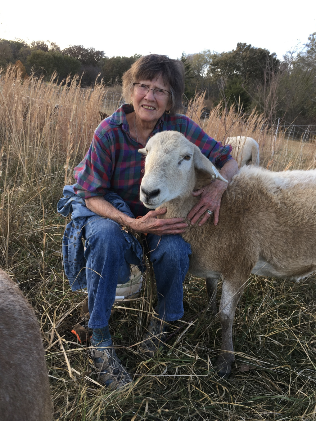 Don’t Eat Edna!!! – Fig Hill Farm & the Kansas Figgery