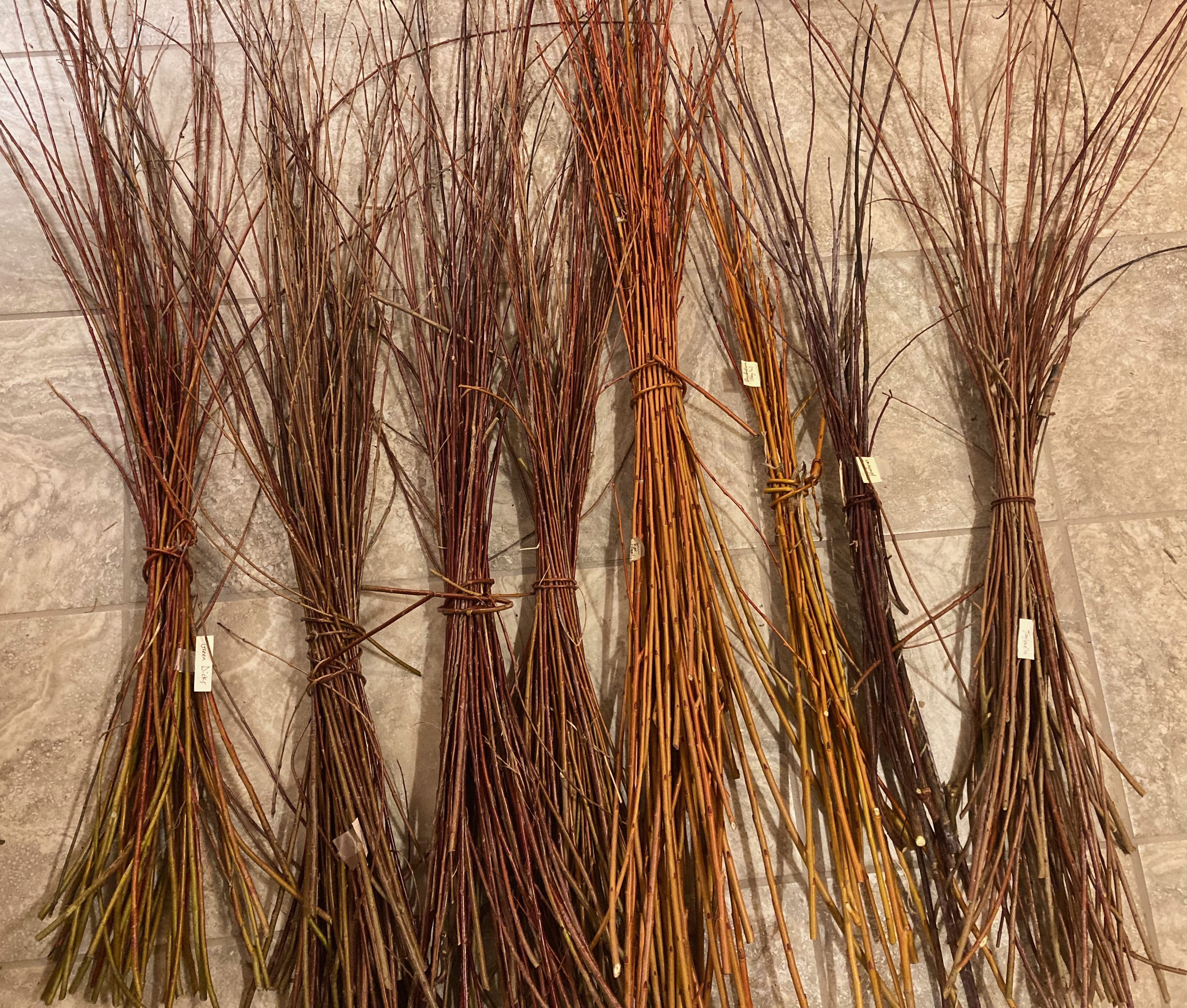 Willow Varieties – Fig Hill Farm & the Kansas Figgery